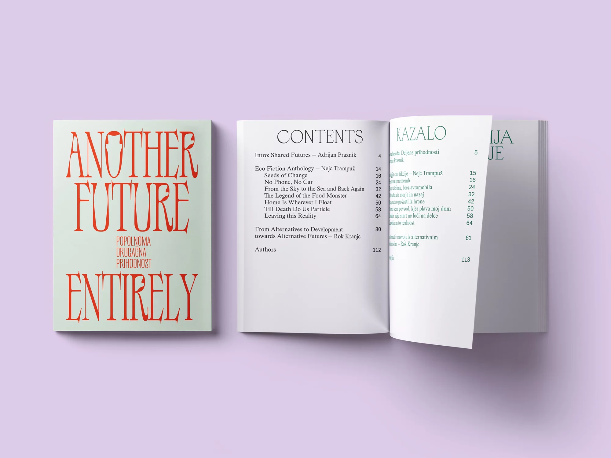 Another Future Entirely